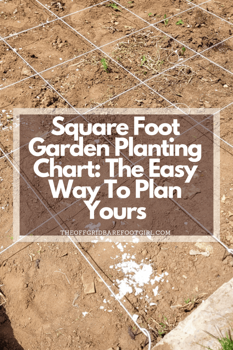 Square Foot Garden: The Easy Way To Plan Yours - The Off Grid Barefoot Girl