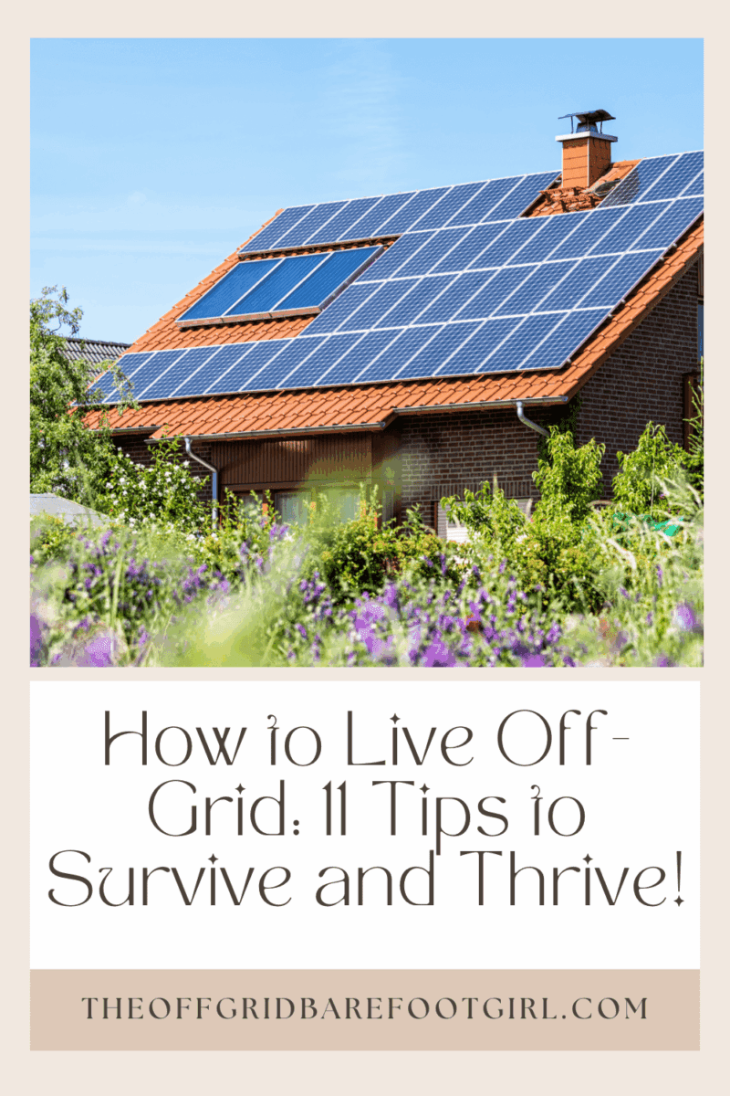 How to Live Off-Grid: 11 Tips to Survive and Thrive! - The Off Grid Barefoot Girl
