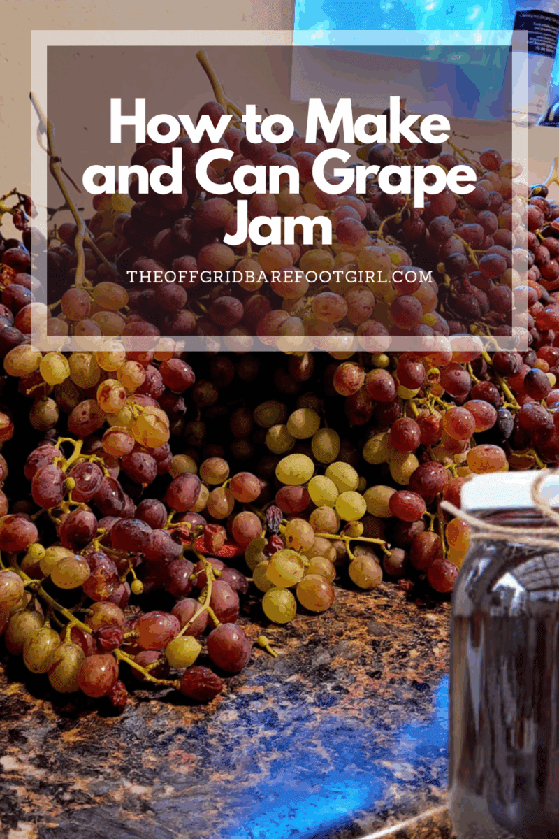 How to Make and Can Grape Jam - The Off Grid Barefoot Girl