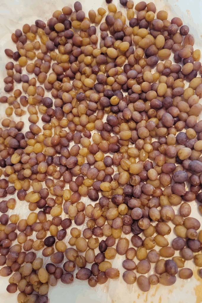 How to Make Homemade Raisins - The Off Grid Barefoot Girl