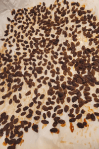 How to Make Homemade Raisins - The Off Grid Barefoot Girl