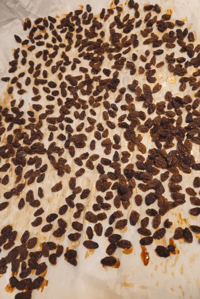 How to Make Homemade Raisins - The Off Grid Barefoot Girl