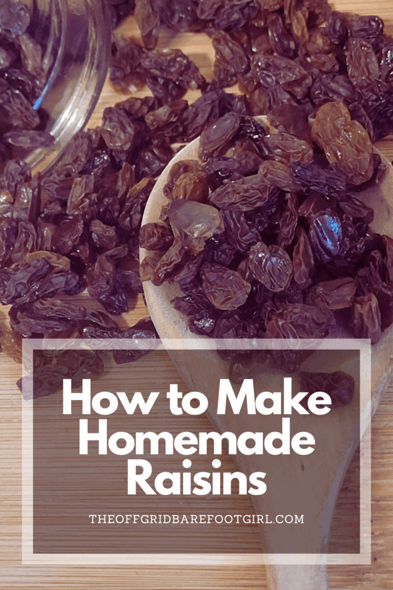 How to Make Homemade Raisins - The Off Grid Barefoot Girl