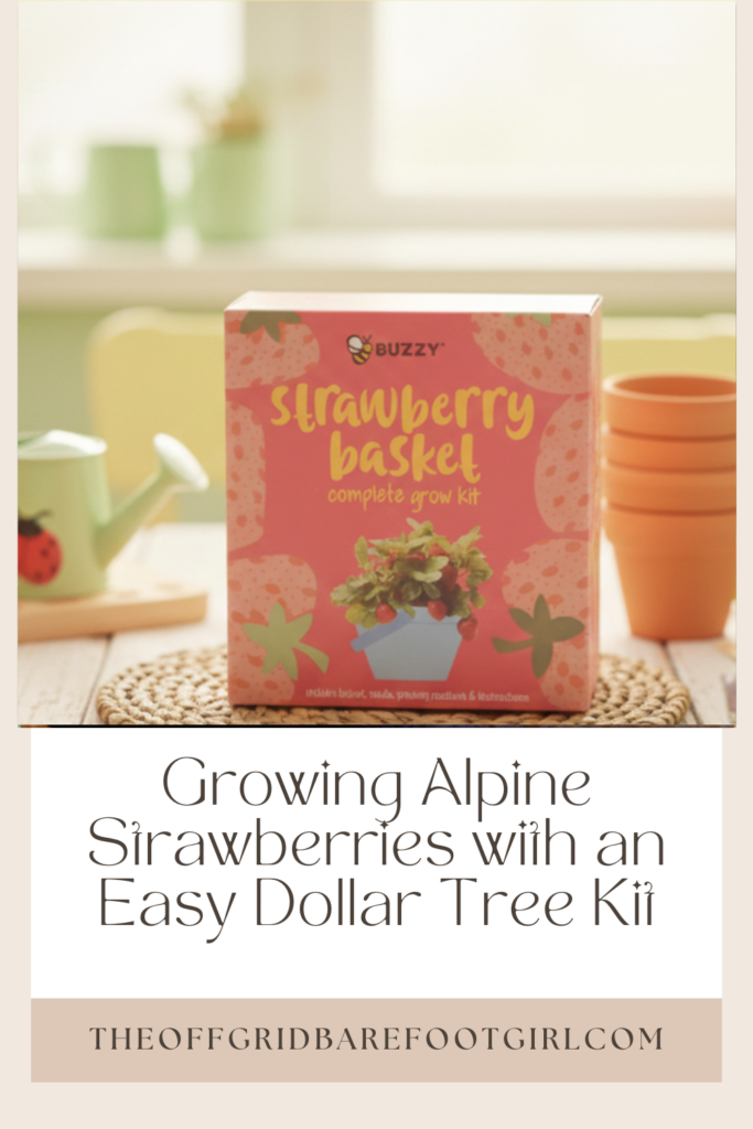 Growing Alpine Strawberries with an Easy Dollar Tree Kit - The Off Grid ...