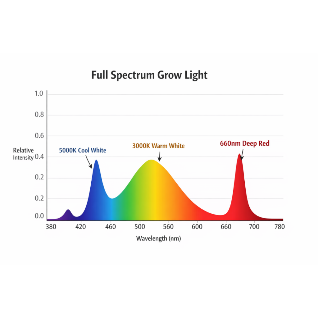 A Simple, Cozy Indoor Seed-Starting Setup That Just Works - The Off ...