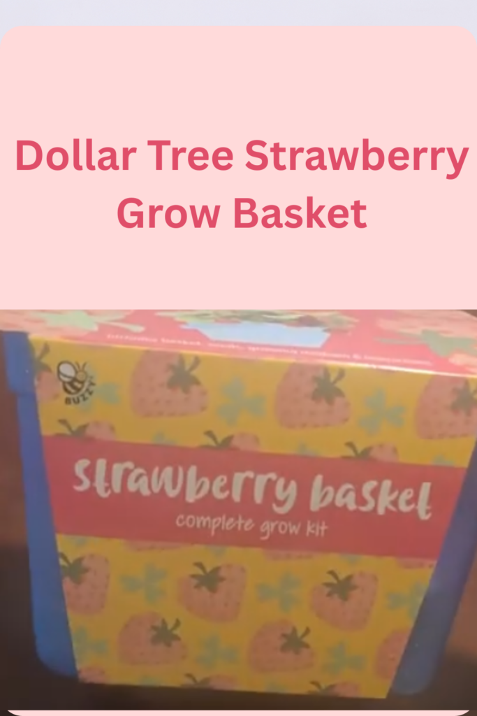 Growing Alpine Strawberries with an Easy Dollar Tree Kit - The Off Grid ...